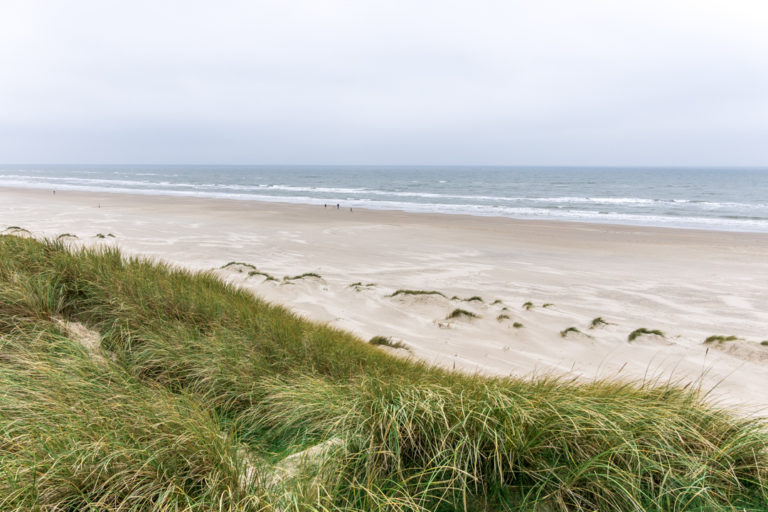 Ferienhaus in Kettrup Bjerge Nordjütland Dänemark › WeLoveDenmark